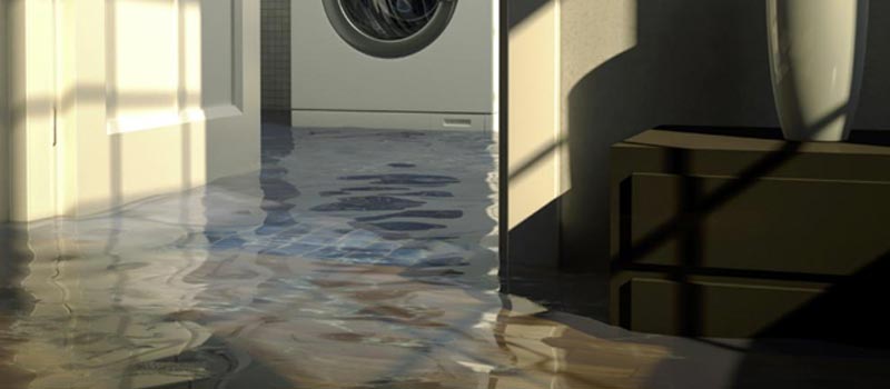 Best Flood Claims Adjuster Florida | Claims Adjuster Near Me